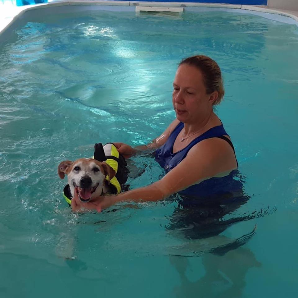 Gallery 3: Cherrytree Canine Hydrotherapy Centre in Kent. Health ...